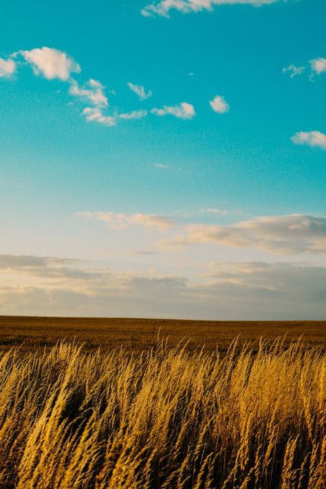 성경진리사역원(BTMK) | 북한 복음화를 위한 기도 제목 - 5월 16일(화)